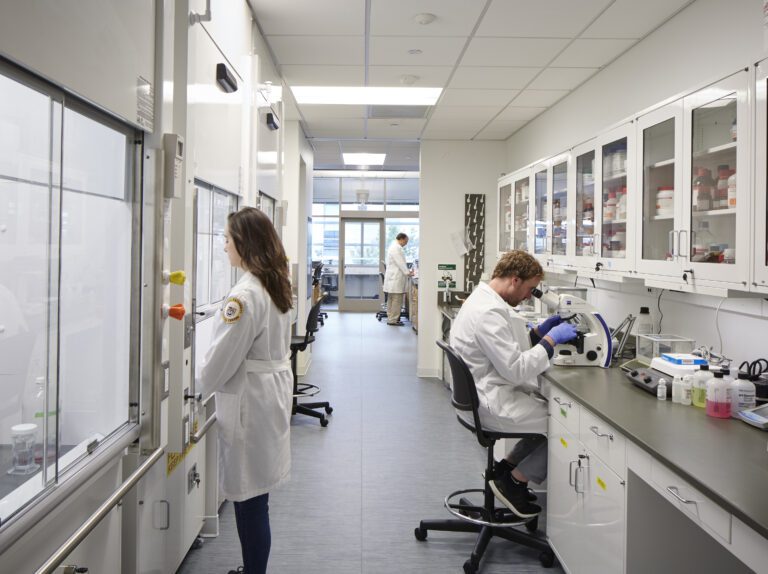 What We Provide - Lab Crafters