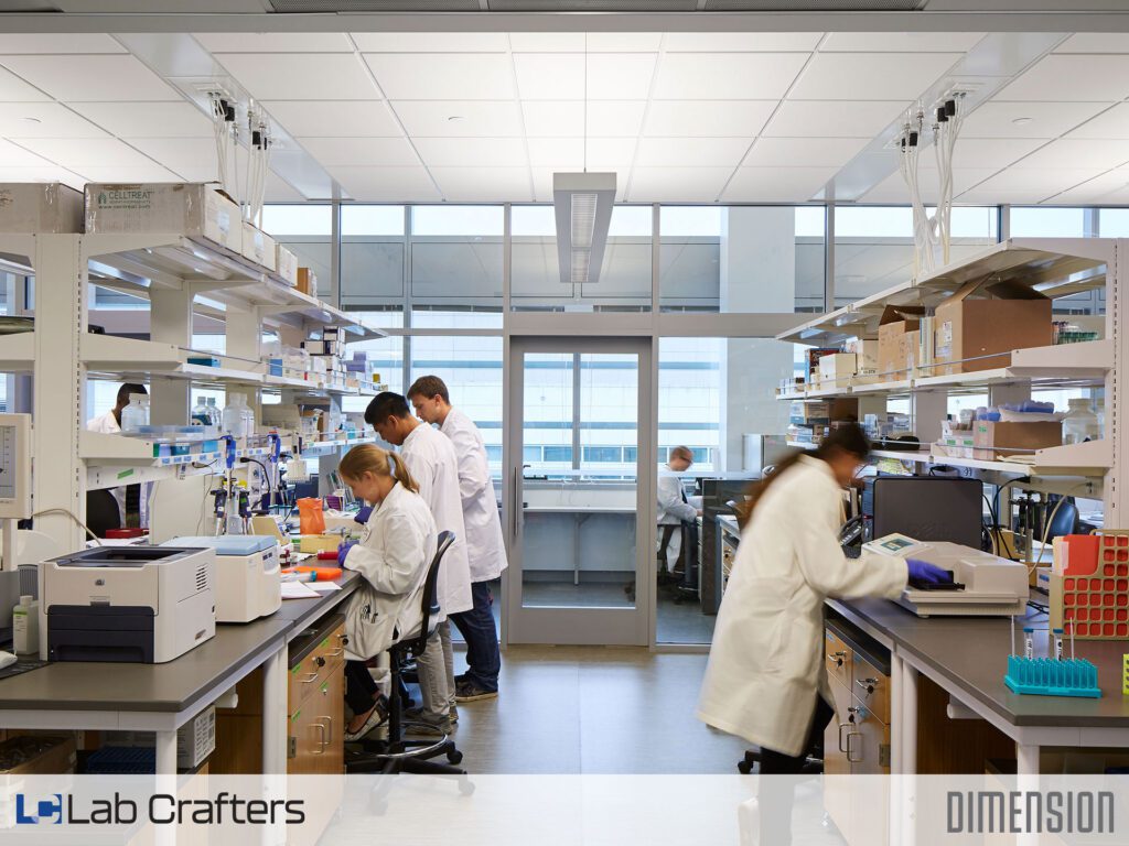 Our Work - Lab Crafters