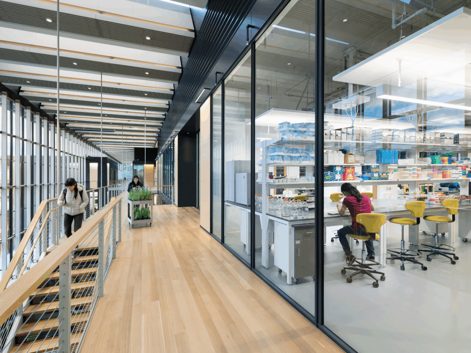 Homepage - Lab Crafters